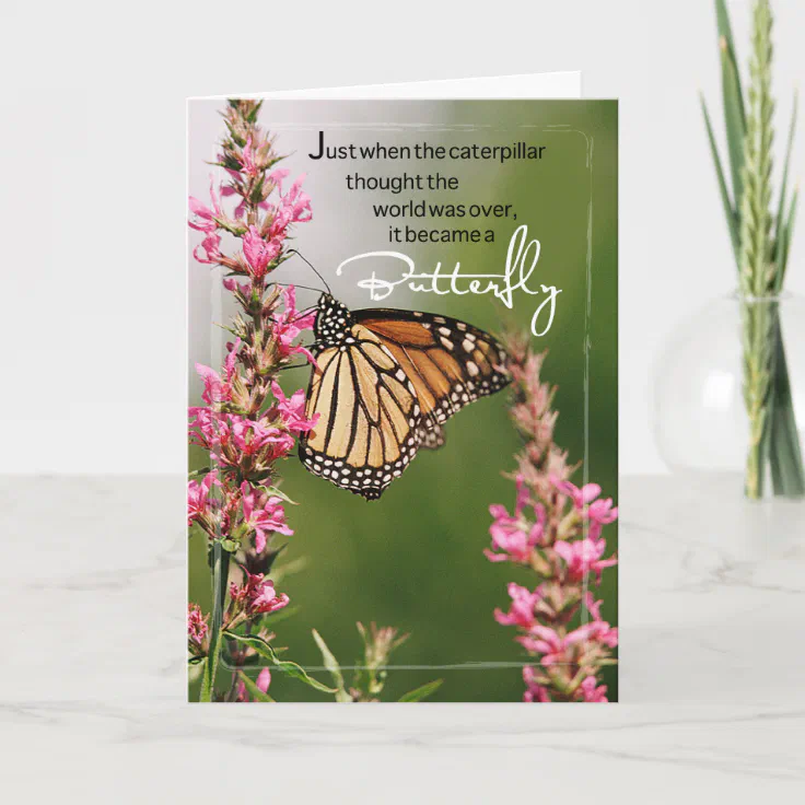 Butterfly Encouragement Card | Zazzle