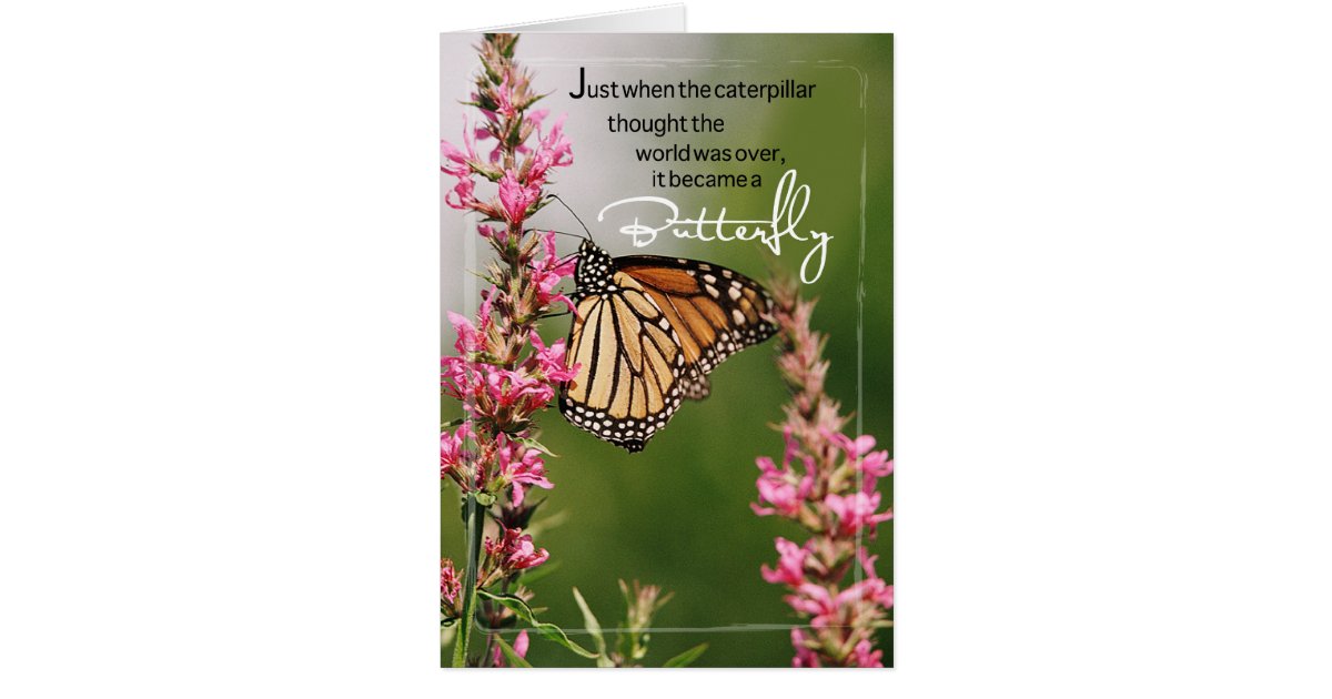 Butterfly Encouragement Card | Zazzle.com