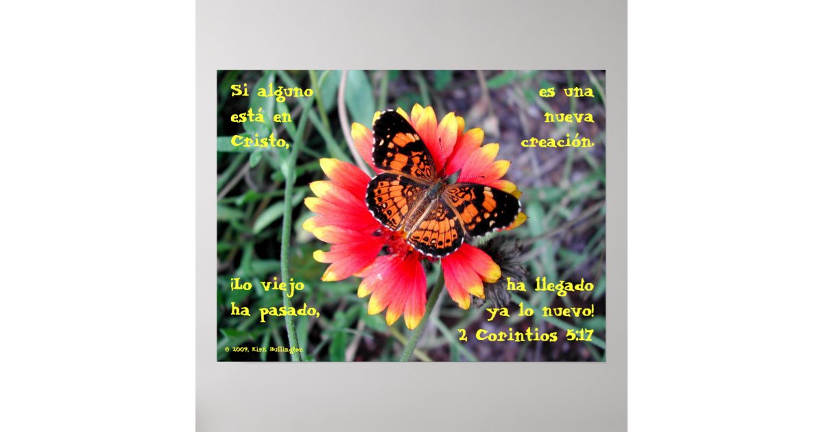 Butterfly Flower—2 Corinthians 5:17 Poster | Zazzle