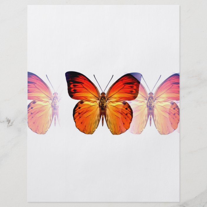 Butterfly Flyer | Zazzle.com