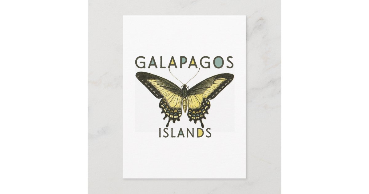Butterfly Galapagos Islands Postcard | Zazzle