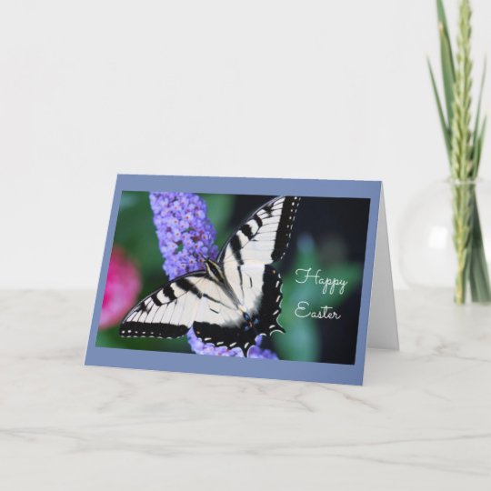 Butterfly Greeting Card | Zazzle.com