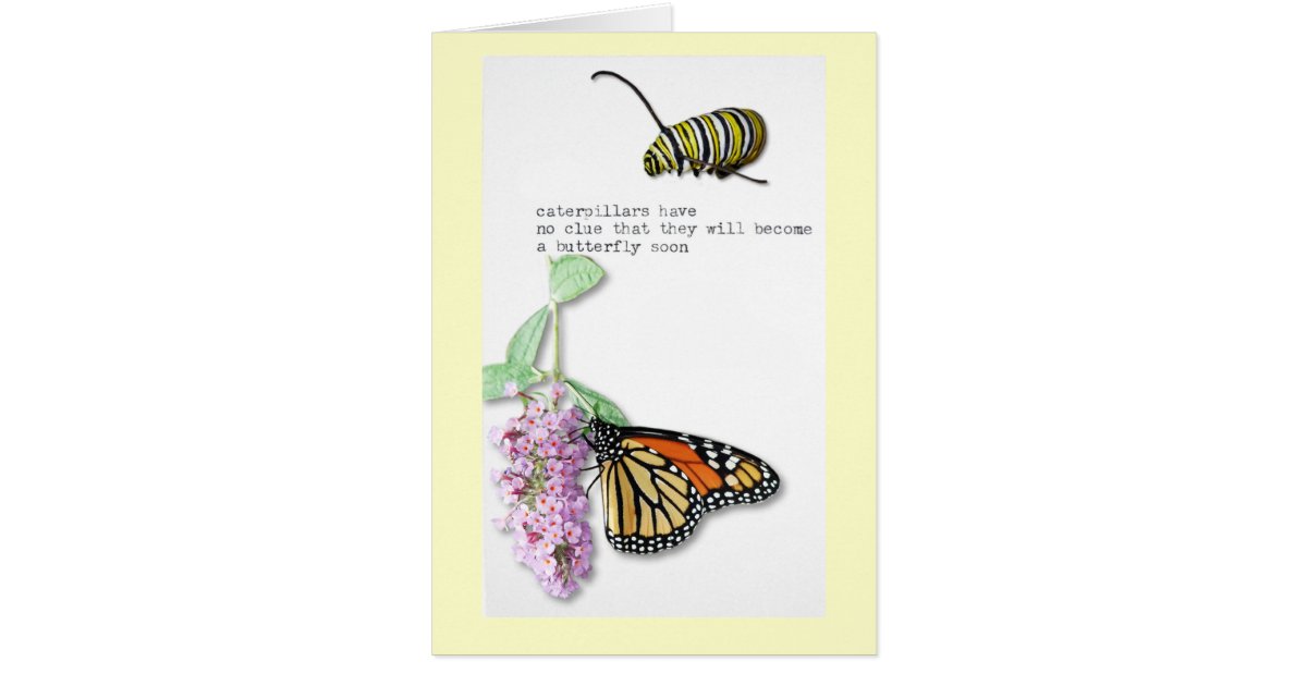 Butterfly Haiku | Zazzle