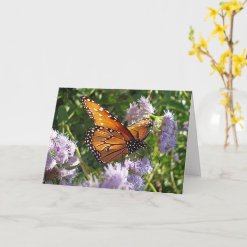 Butterfly Heartfelt Proud of You College Child Card | Zazzle