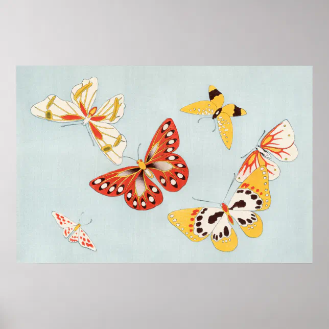 Butterfly Illustration Poster | Zazzle