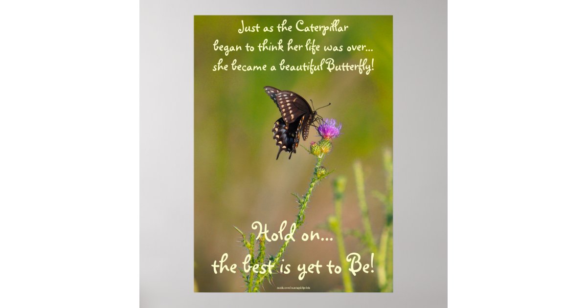 Butterfly Motivational Inspirational Photo Poster | Zazzle