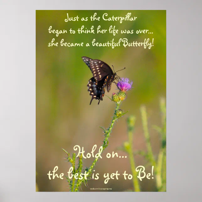 Butterfly Motivational Inspirational Photo Poster | Zazzle
