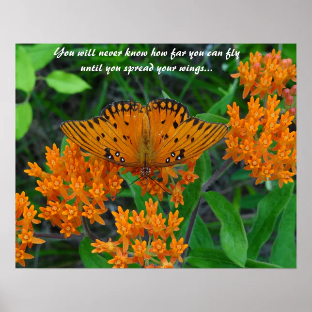 Butterfly of encouragement, hope and the future poster | Zazzle