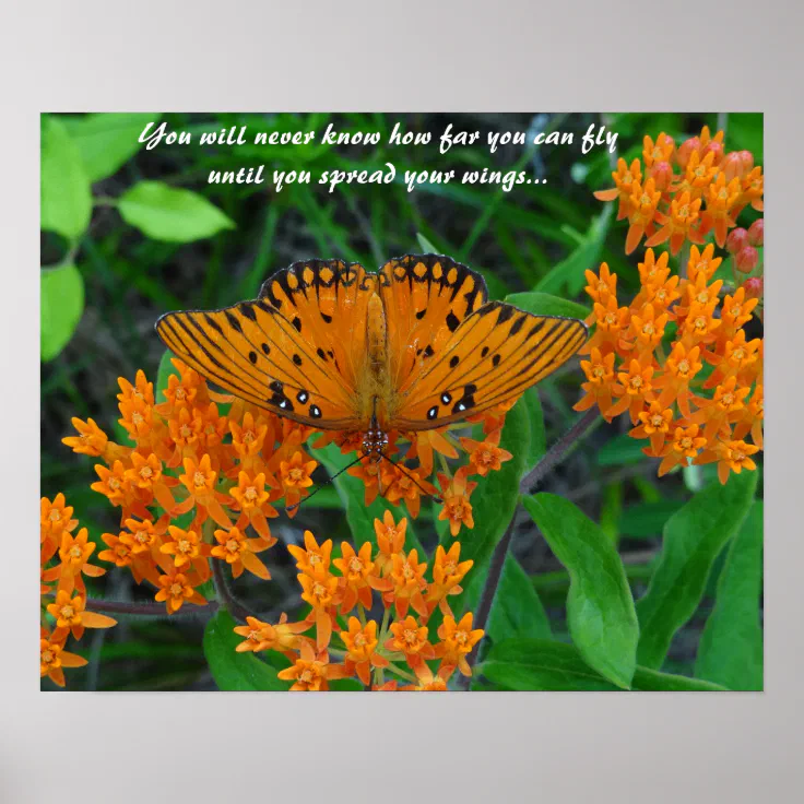 Butterfly of encouragement, hope and the future poster | Zazzle