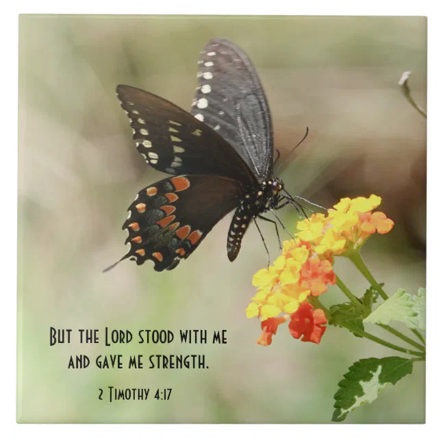 Butterfly on Wildflowers w/ Scripture Verse Ceramic Tile | Zazzle