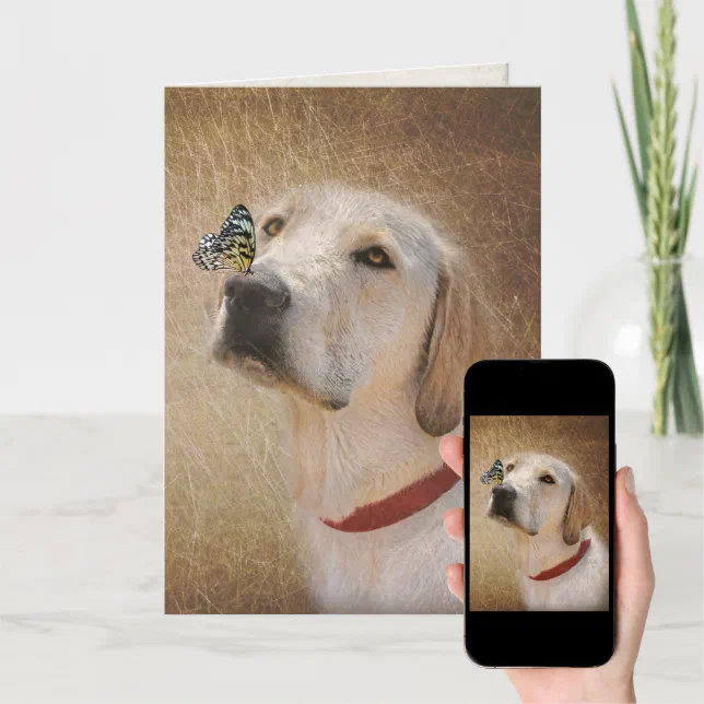 butterfly on yellow Labrador retriever's nose Card | Zazzle