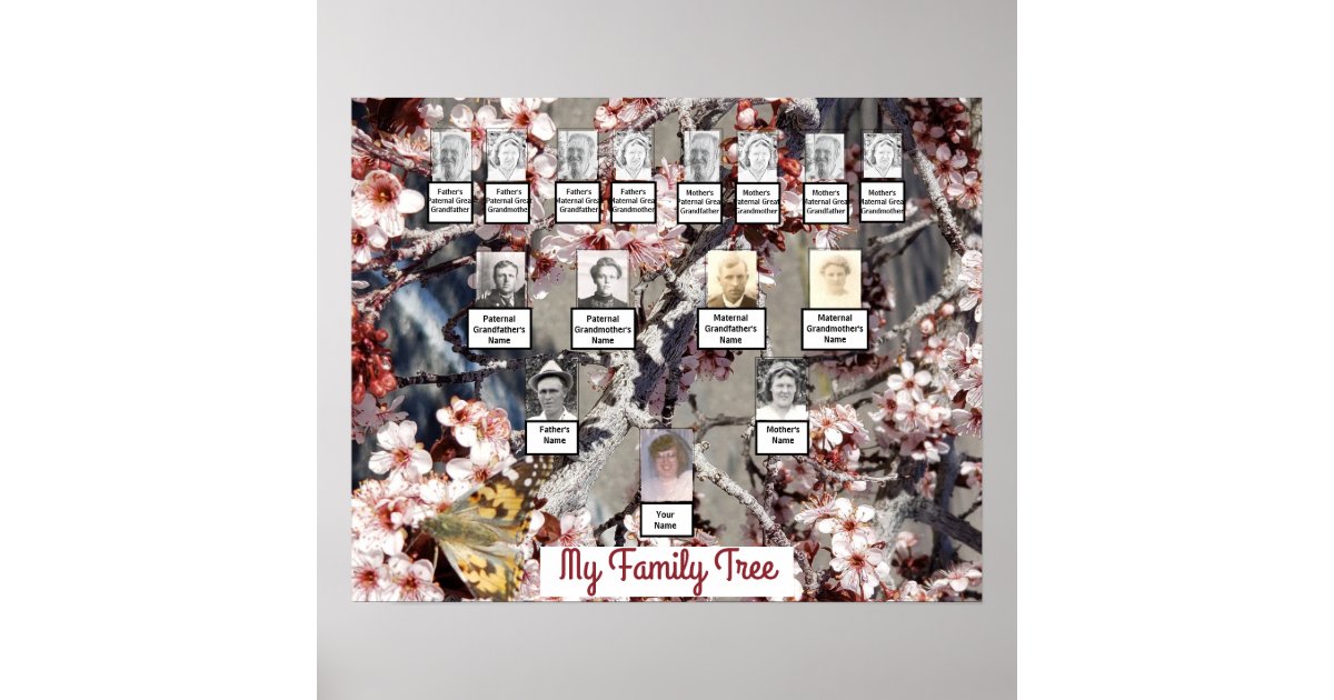 Butterfly Pink Blossoms Photo Family Tree Poster | Zazzle