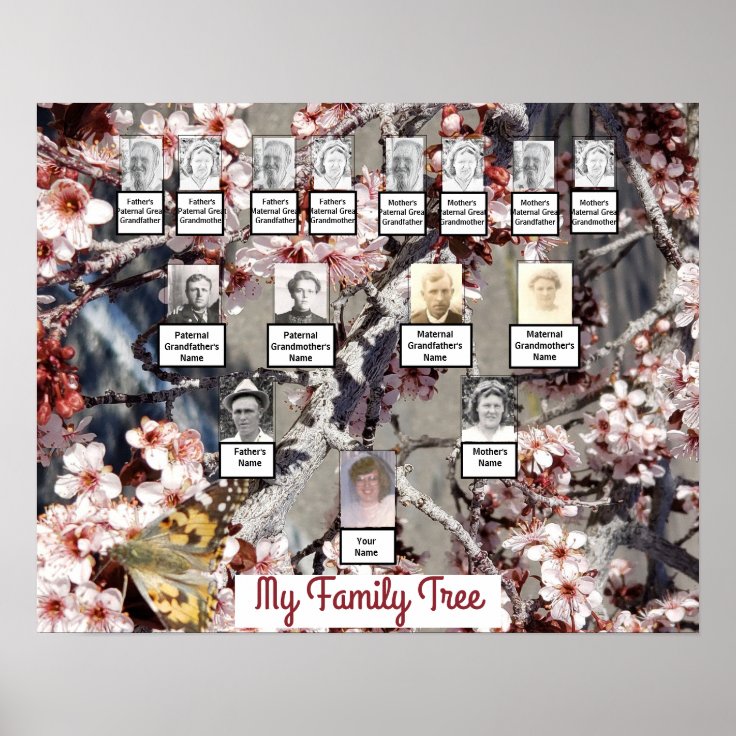 Butterfly Pink Blossoms Photo Family Tree Poster | Zazzle