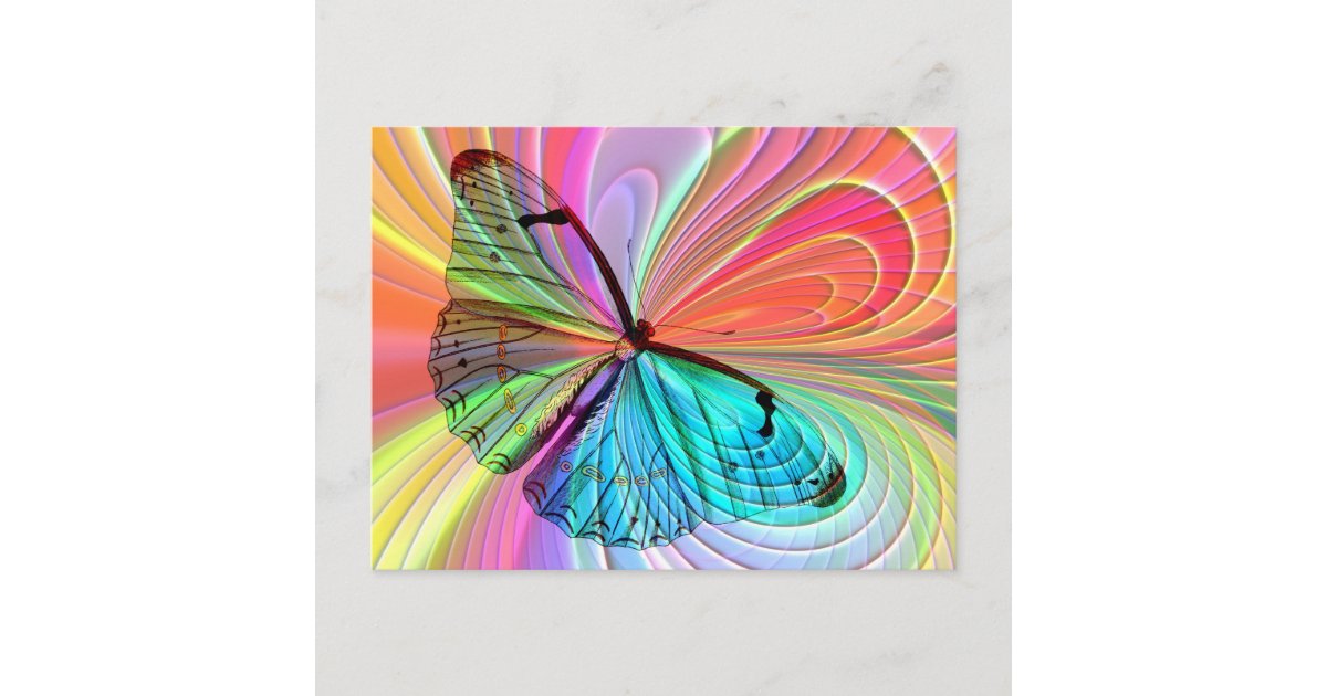 butterfly postcard | Zazzle