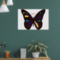 Butterfly Poster | Zazzle