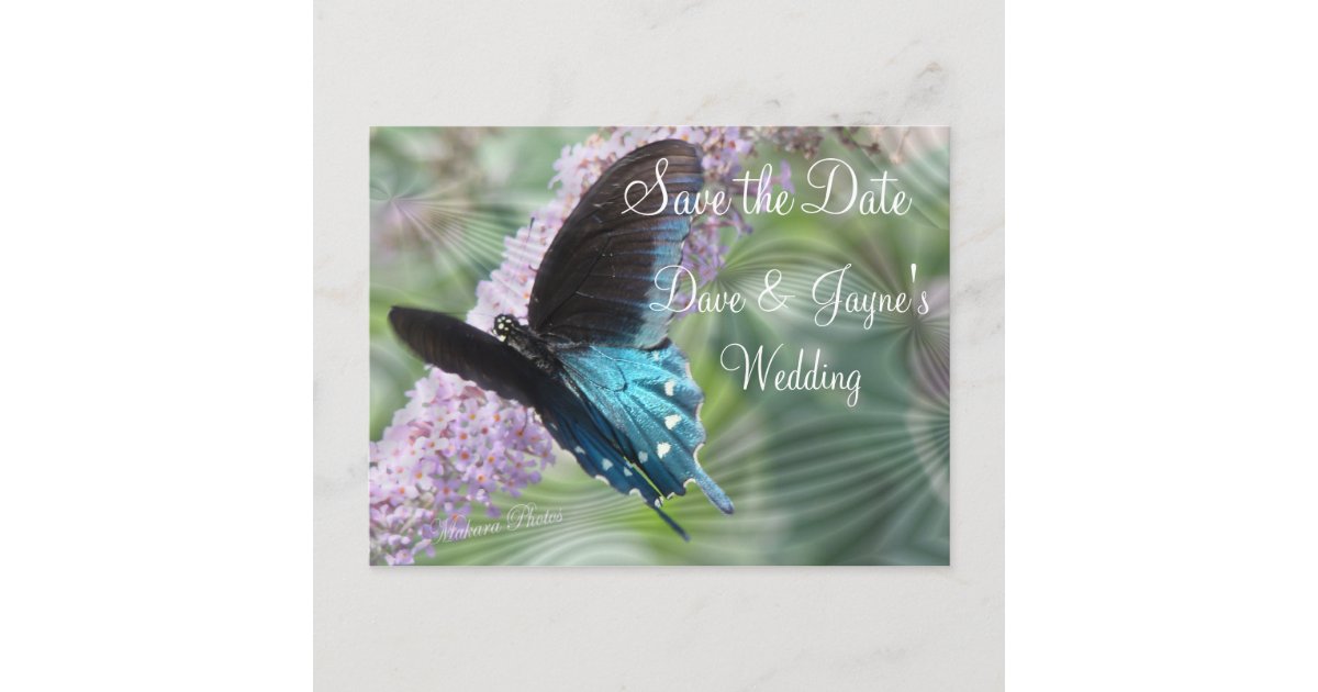 Butterfly Save the Date-customize Announcement Postcard | Zazzle