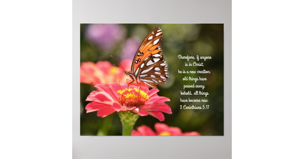 Butterfly Scripture Poster 2 Corinthians | Zazzle.com