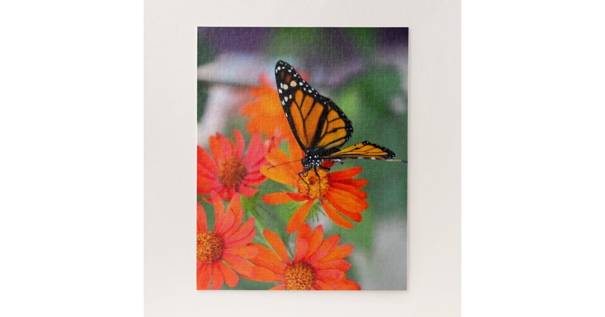 Butterfly series - Monarch butterfly Jigsaw Puzzle | Zazzle