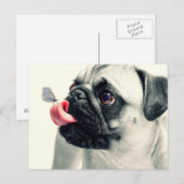 Butterfly Sitting on Pugs Tongue Postcard | Zazzle