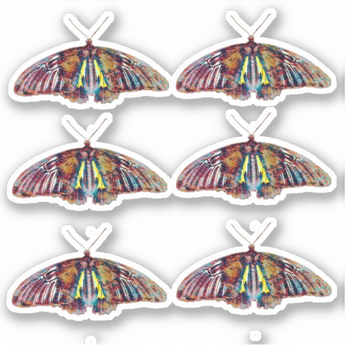 Butterfly Stickers Sheet of Six | Zazzle.com