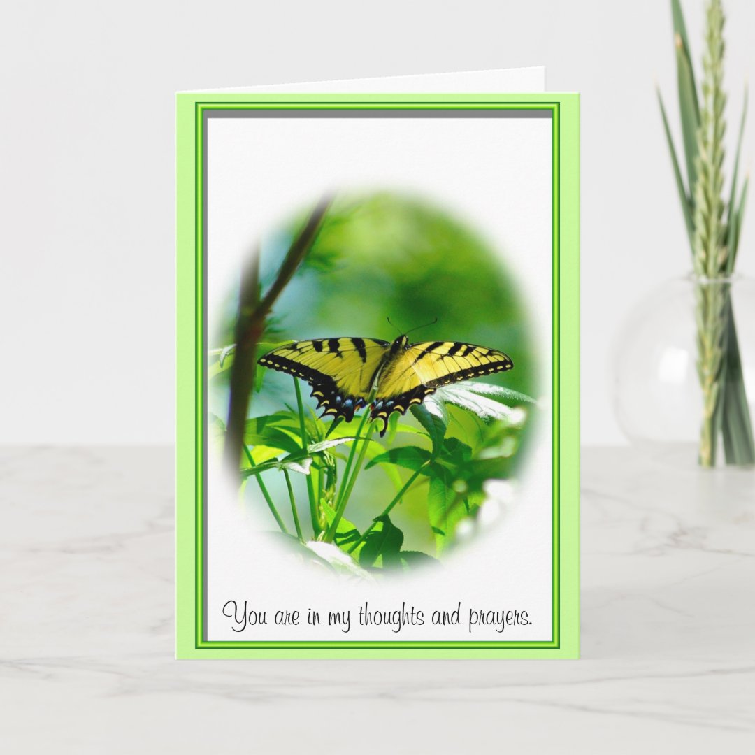 Butterfly Sympathy Card | Zazzle