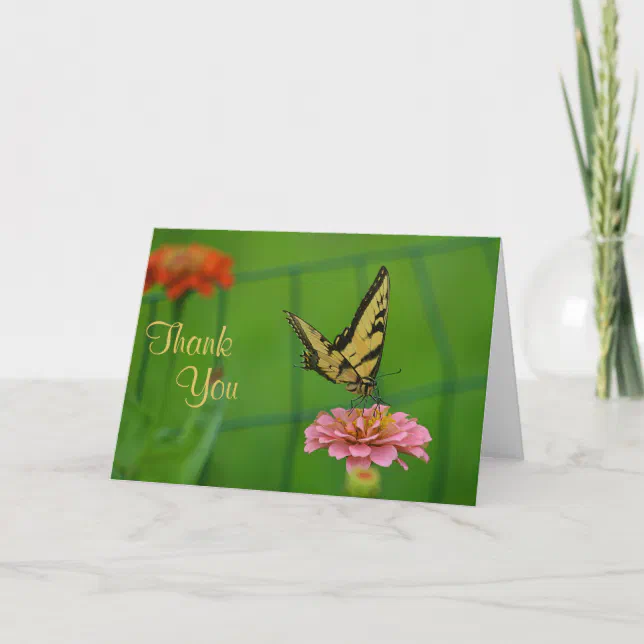 Butterfly Thank You Card | Zazzle