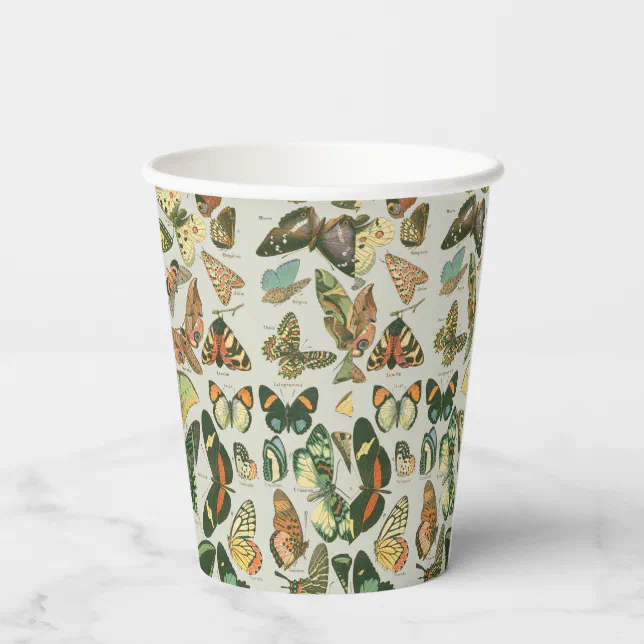 Butterfly Vintage Antique Butterflies Art Paper Cups | Zazzle