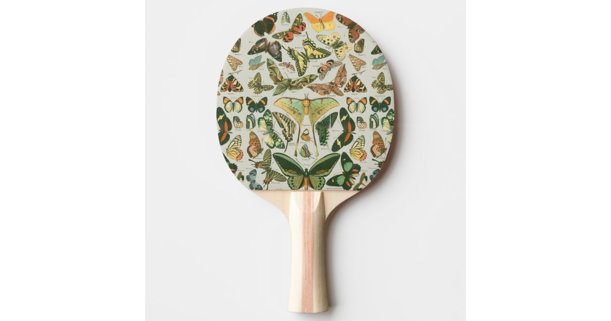 Butterfly Vintage Antique Butterflies Art Ping Pong Paddle | Zazzle