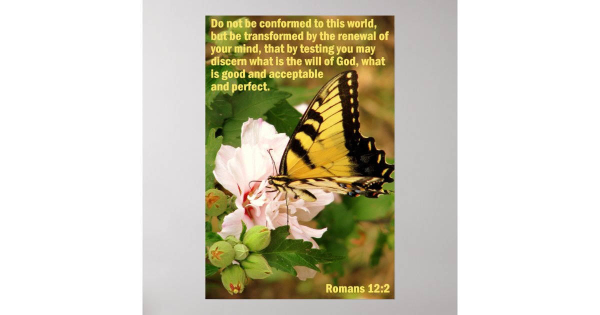 Butterfly with Romans 12:2 Poster | Zazzle