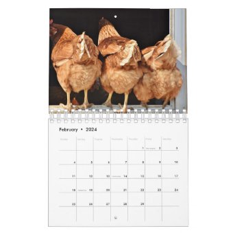 Butts Calendar | Zazzle