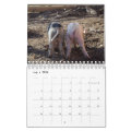 Butts Calendar | Zazzle