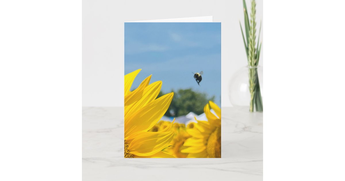 BuZZy Bee Photo Blank Greeting Card/Note Card | Zazzle