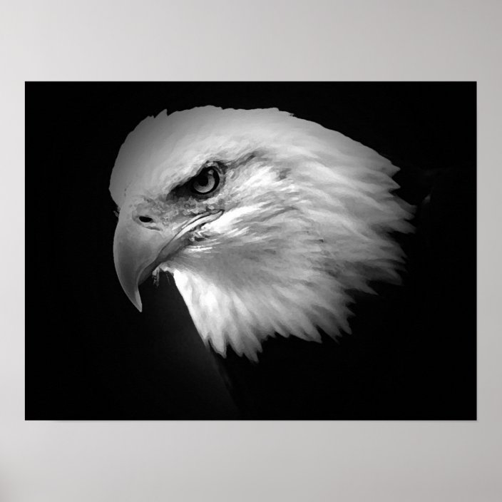 BW American Bald Eagle Poster Print Eagles Posters | Zazzle.com