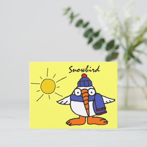 BW- Funny Snowbird Postcard | Zazzle
