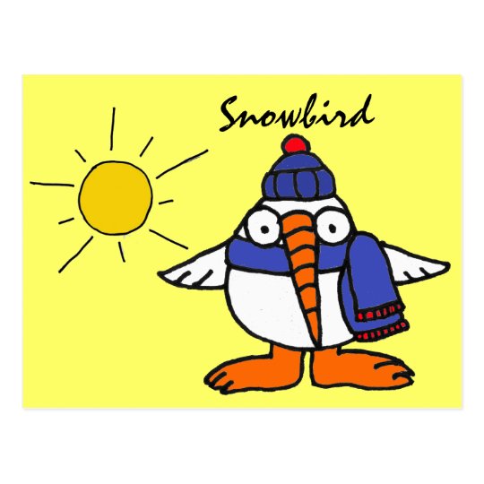 BW- Funny Snowbird Postcard | Zazzle.com
