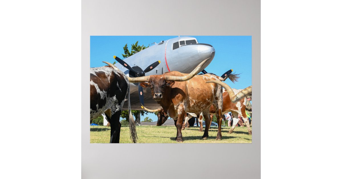 C-47 Skytrain in Texas Poster | Zazzle