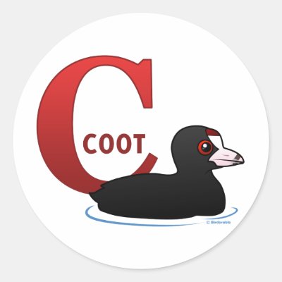 Cute American Coot by Birdorable