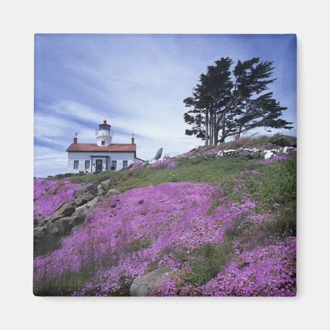 CA, Crescent City, Battery Point lighthouse with Magnet | Zazzle