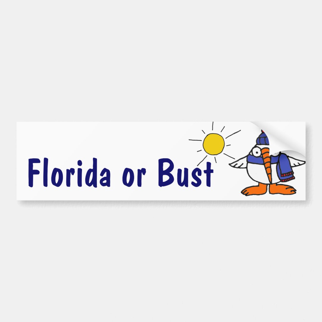 CA- Florida or Bust Snowbird Bumper Sticker | Zazzle