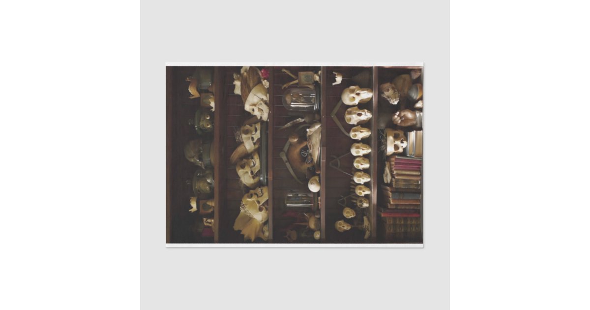 Cabinet of Curiosities Skulls Tissue Paper | Zazzle