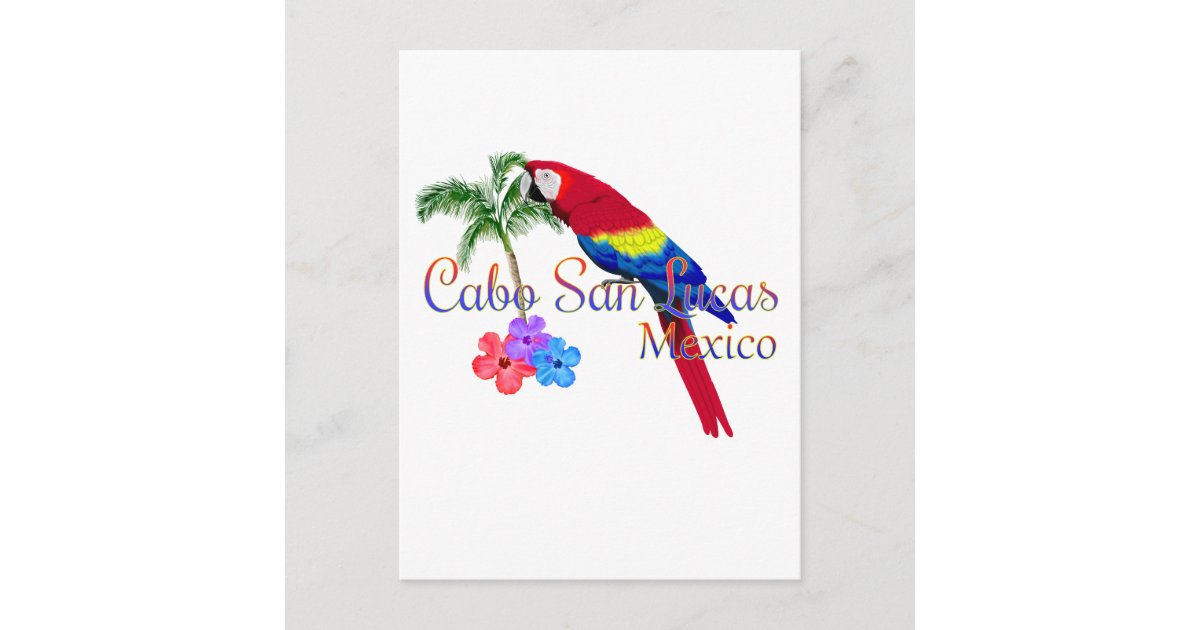 Cabo San Lucas Tropical Beach Postcard | Zazzle