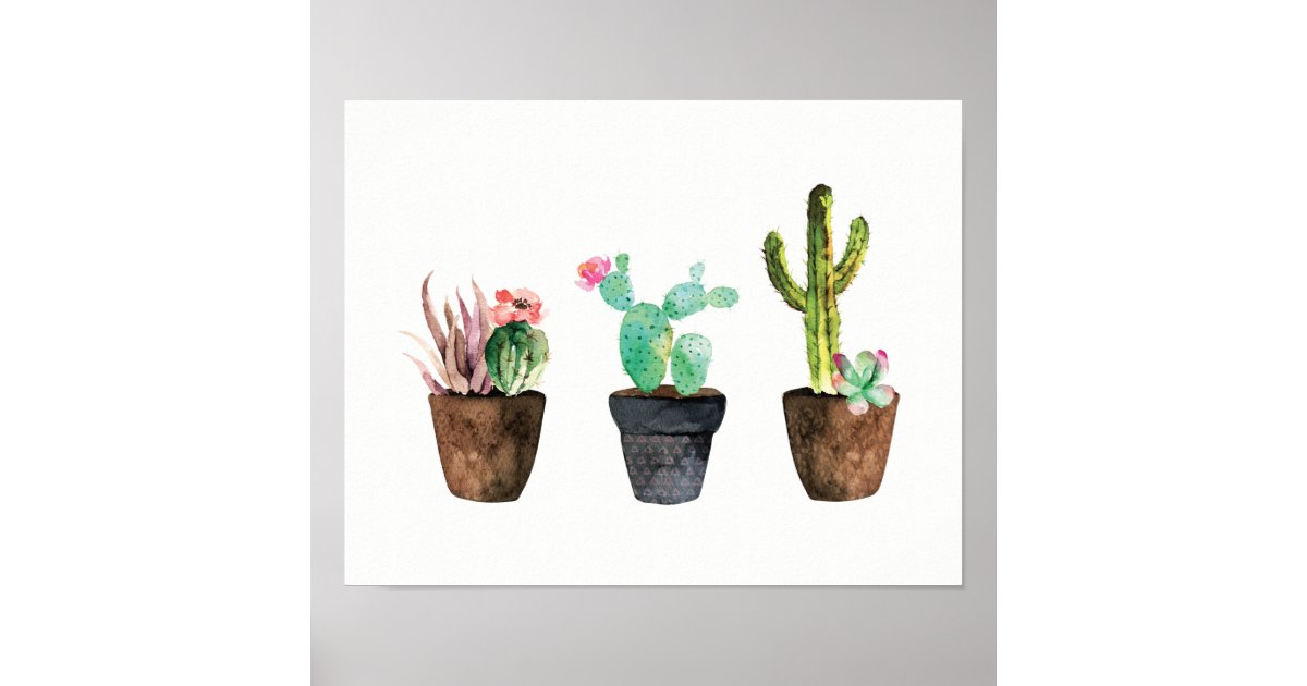 Cactus and Succulent Trio One Poster | Zazzle