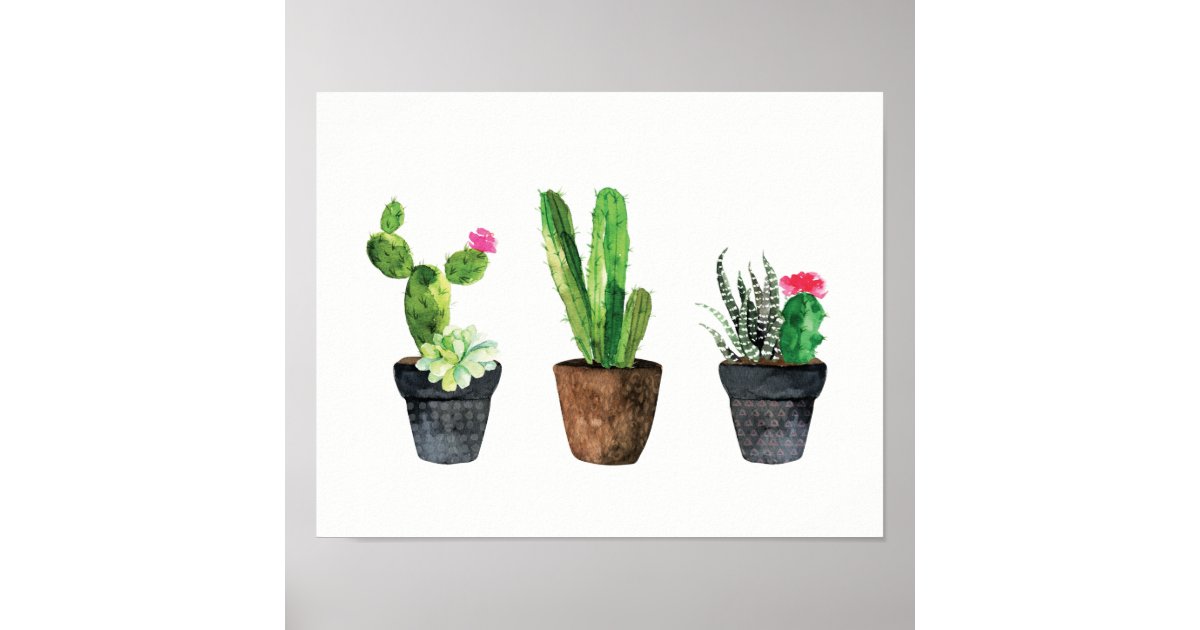 Cactus and Succulent Trio Two Poster | Zazzle