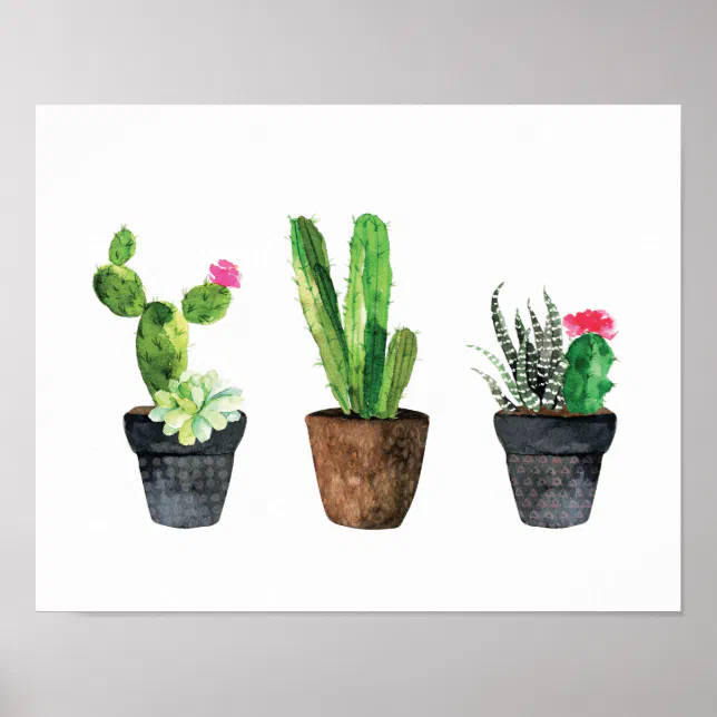 Cactus and Succulent Trio Two Poster | Zazzle
