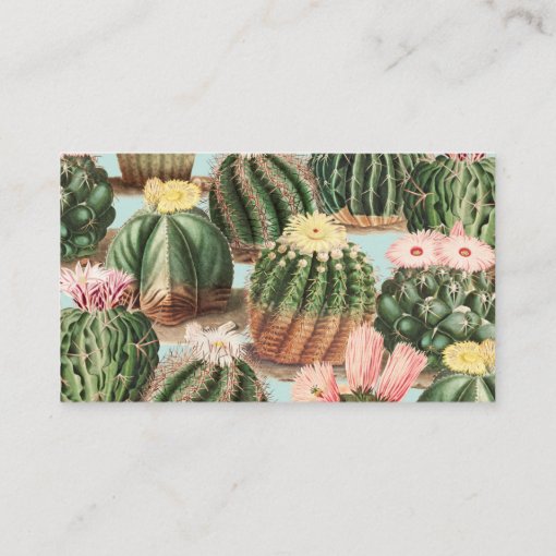 Cactus Business Card | Zazzle