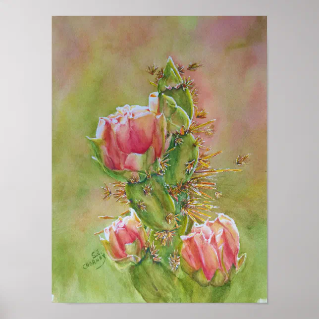 Cactus Flowers Poster | Zazzle