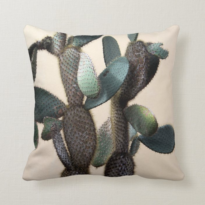 cactus pillow | Zazzle.com