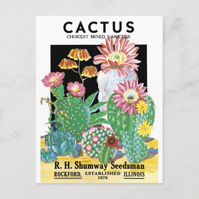 Cactus Seed Package Postcard | Zazzle