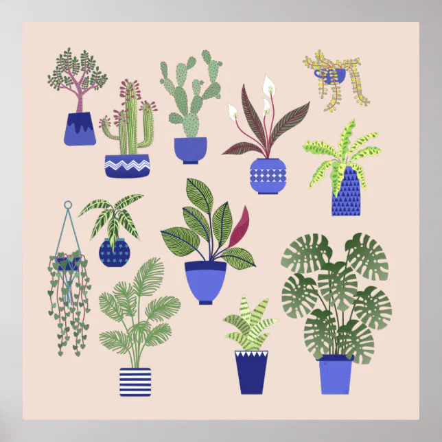Cactus Succulent Houseplant Pink Poster | Zazzle