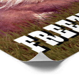 Caddyshack | Freeze, Gopher! Poster | Zazzle